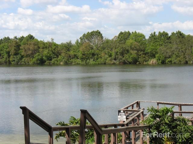 Innovo Living on Waters, Egypt Lake-Leto FL - Walk Score