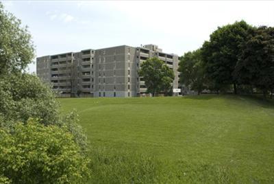 1915 Martin Grove Road, Toronto ON - Walk Score