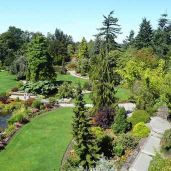 Riley Park Vancouver Apartments for Rent and Rentals - Walk Score