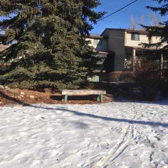 Sunnyside Calgary Apartments for Rent and Rentals - Walk Score